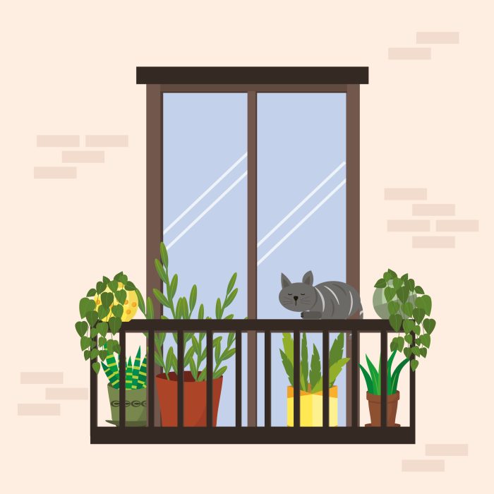 Cat-proofing your balcony: All tips | Cat’s Best