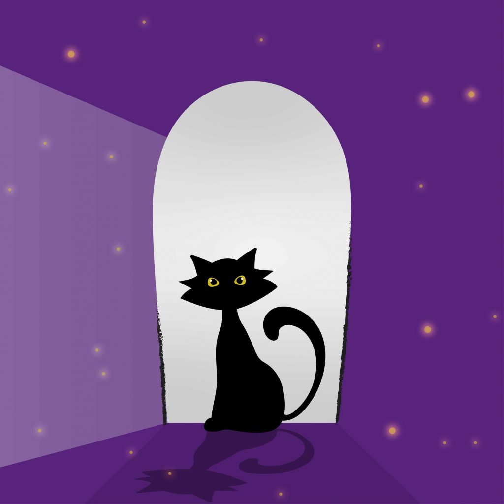 Nocturnal cats – What do cats do outside at night? | Cat’s Best