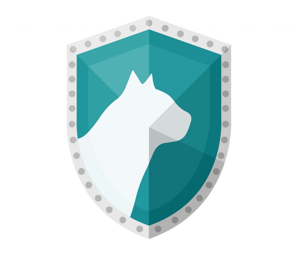 How to strengthen your cat's immune system! | Cat’s Best