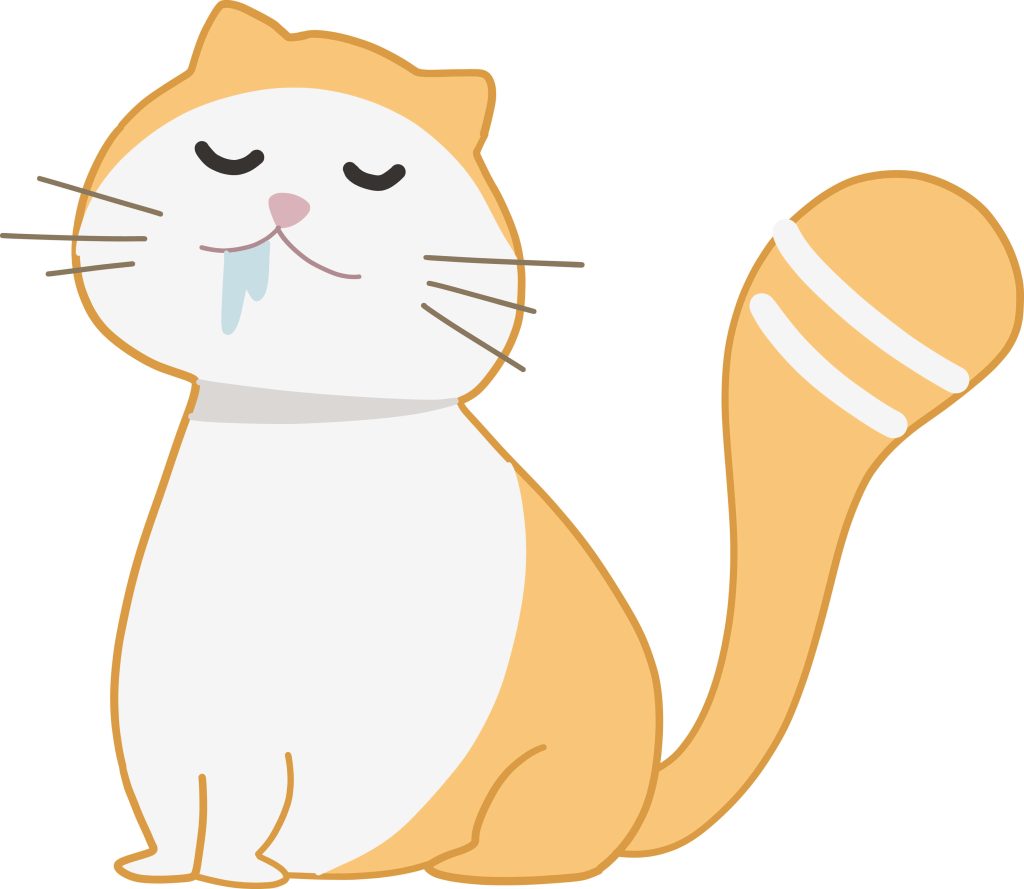 My cat is drooling: What’s causing it? | Cat’s Best