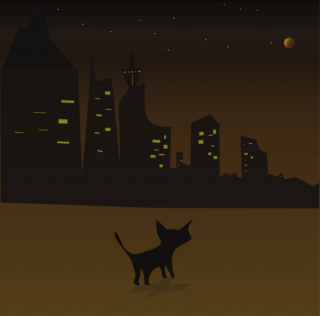 Nocturnal cats – What do cats do outside at night? | Cat’s Best