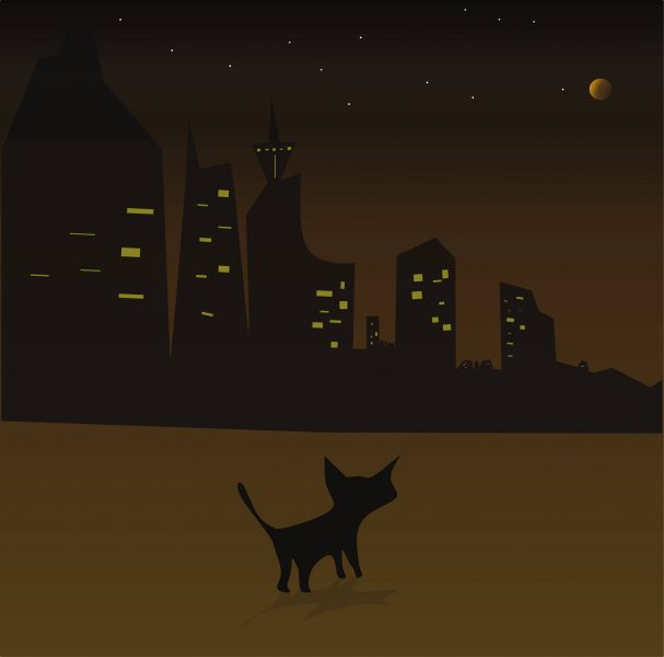 Nocturnal cats – What do cats do outside at night? | Cat’s Best
