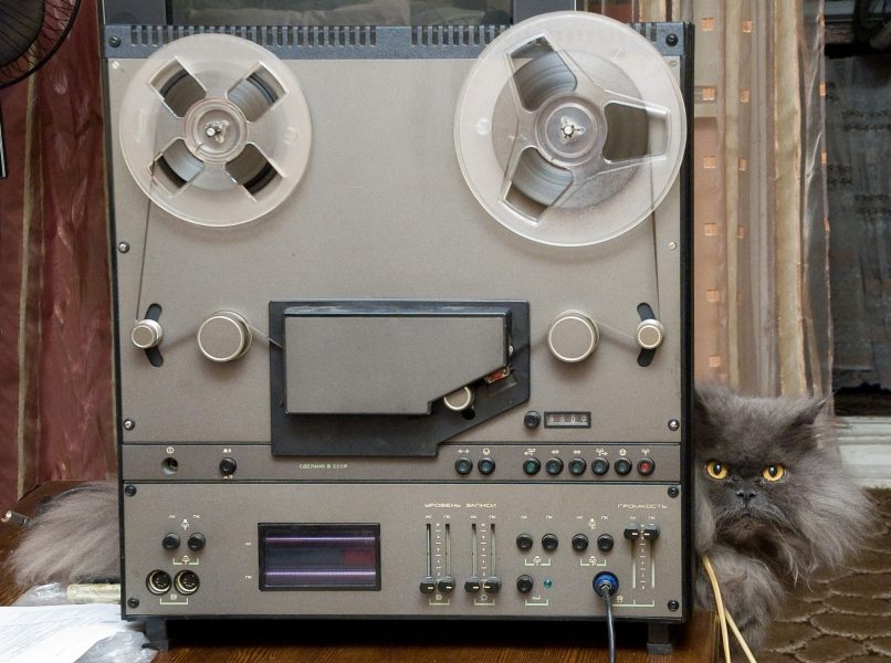 8 Tips for New Year's Eve with the cat | Cat’s Best