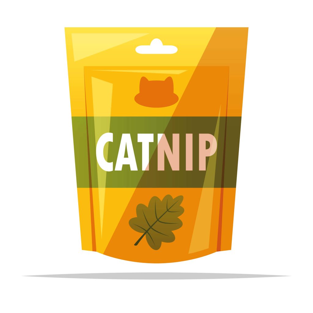 Catnip for cats - All about the plant and its effects | Cat’s Best