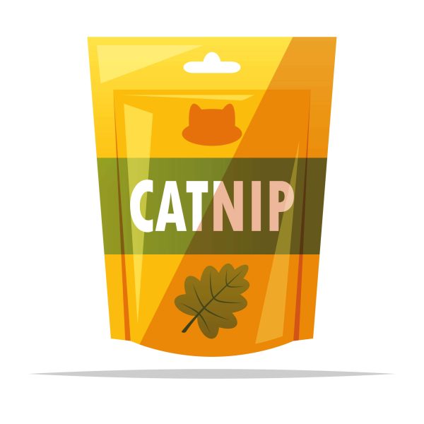 Catnip for cats - All about the plant and its effects | Cat’s Best