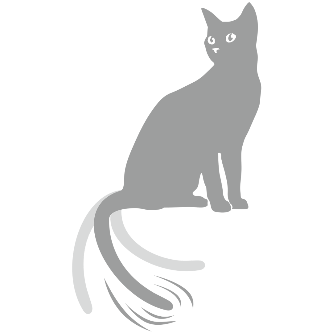 Understanding cat language - how to interpret your cat’s behaviour ...