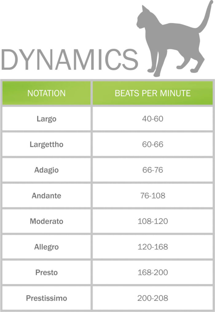 Cats and music: what you should know | Cat’s Best