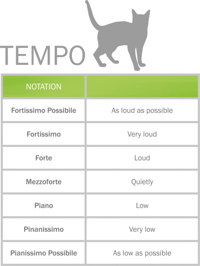 Cats and music: what you should know | Cat’s Best