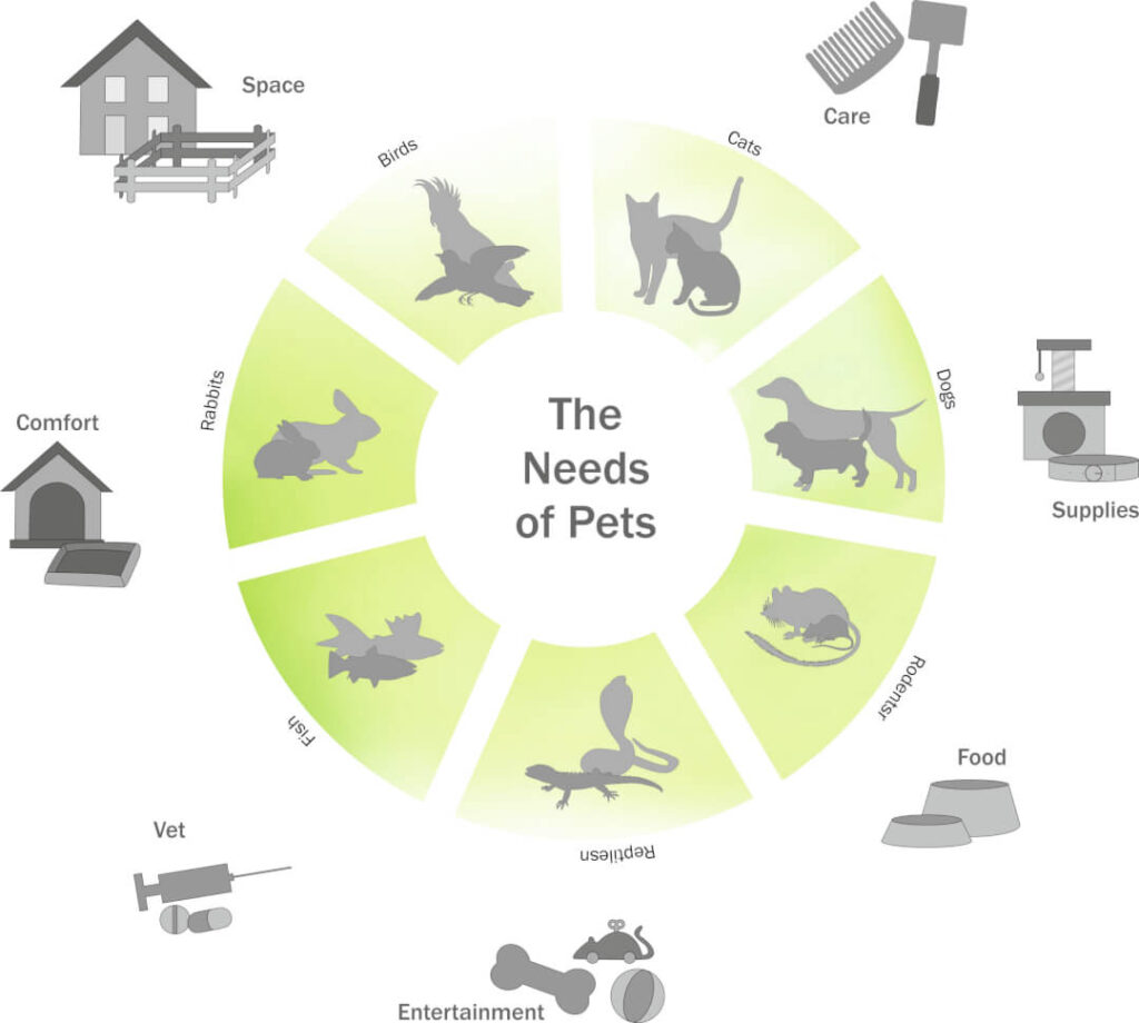 How you can help your cat to accept other pets | Cat’s Best