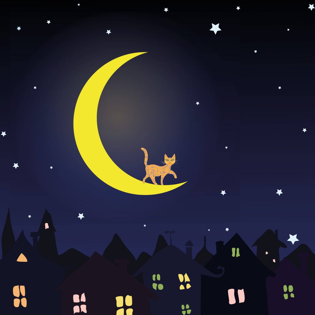 Nocturnal cats – What do cats do outside at night? | Cat’s Best