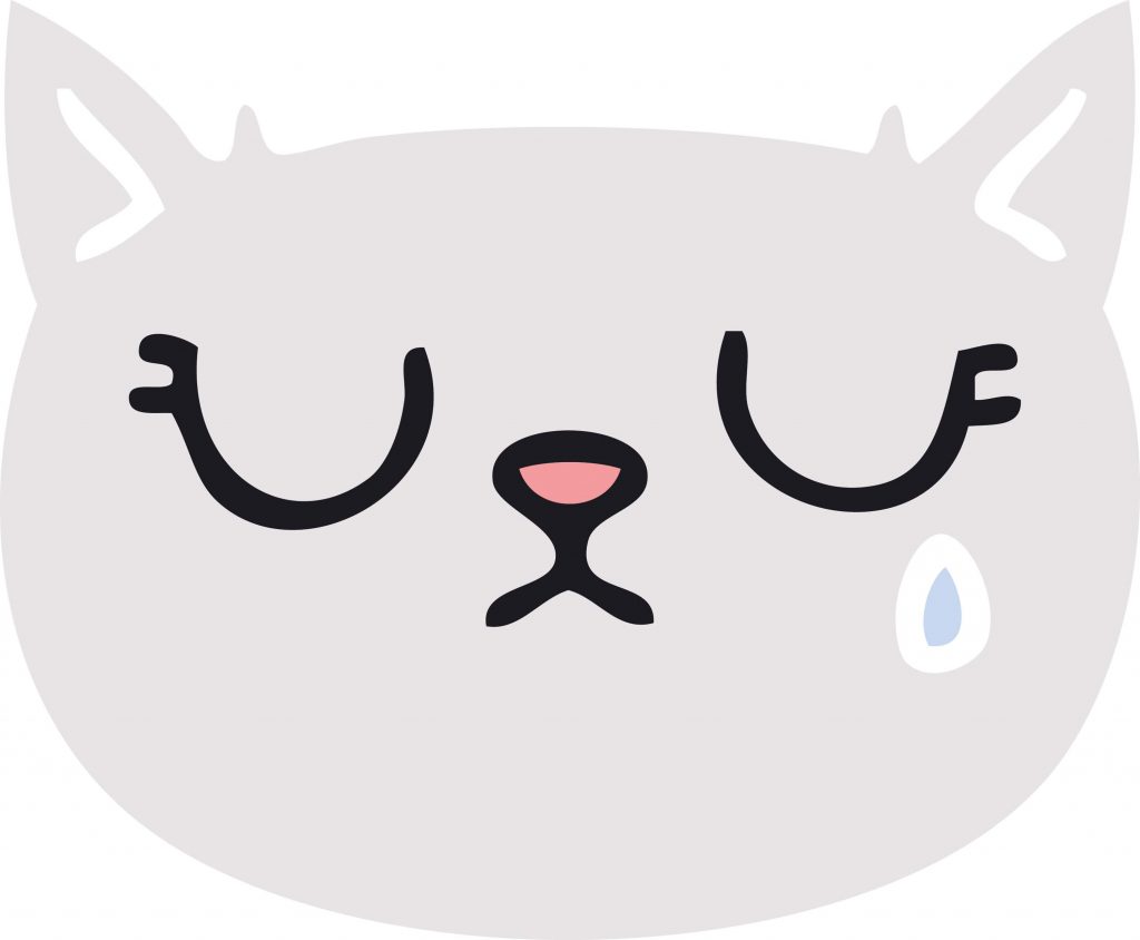 Can cats cry? Understanding tears in cats | Cat’s Best